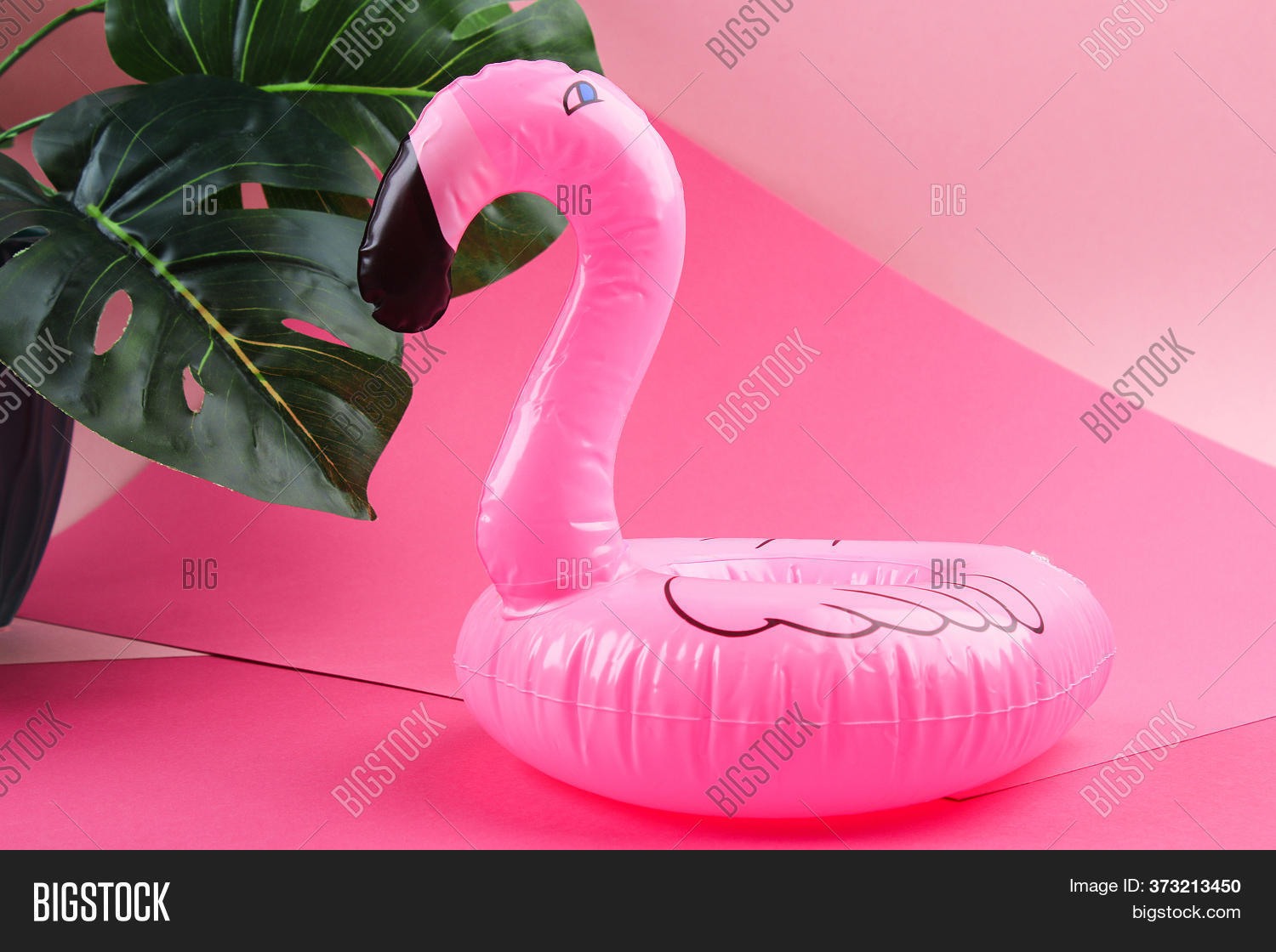 Inflatable Pink Mini Image & Photo (Free Trial) | Bigstock