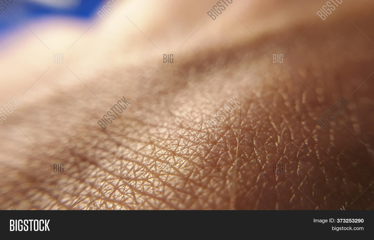 Closeup Brown Skin Image & Photo (Free Trial) | Bigstock