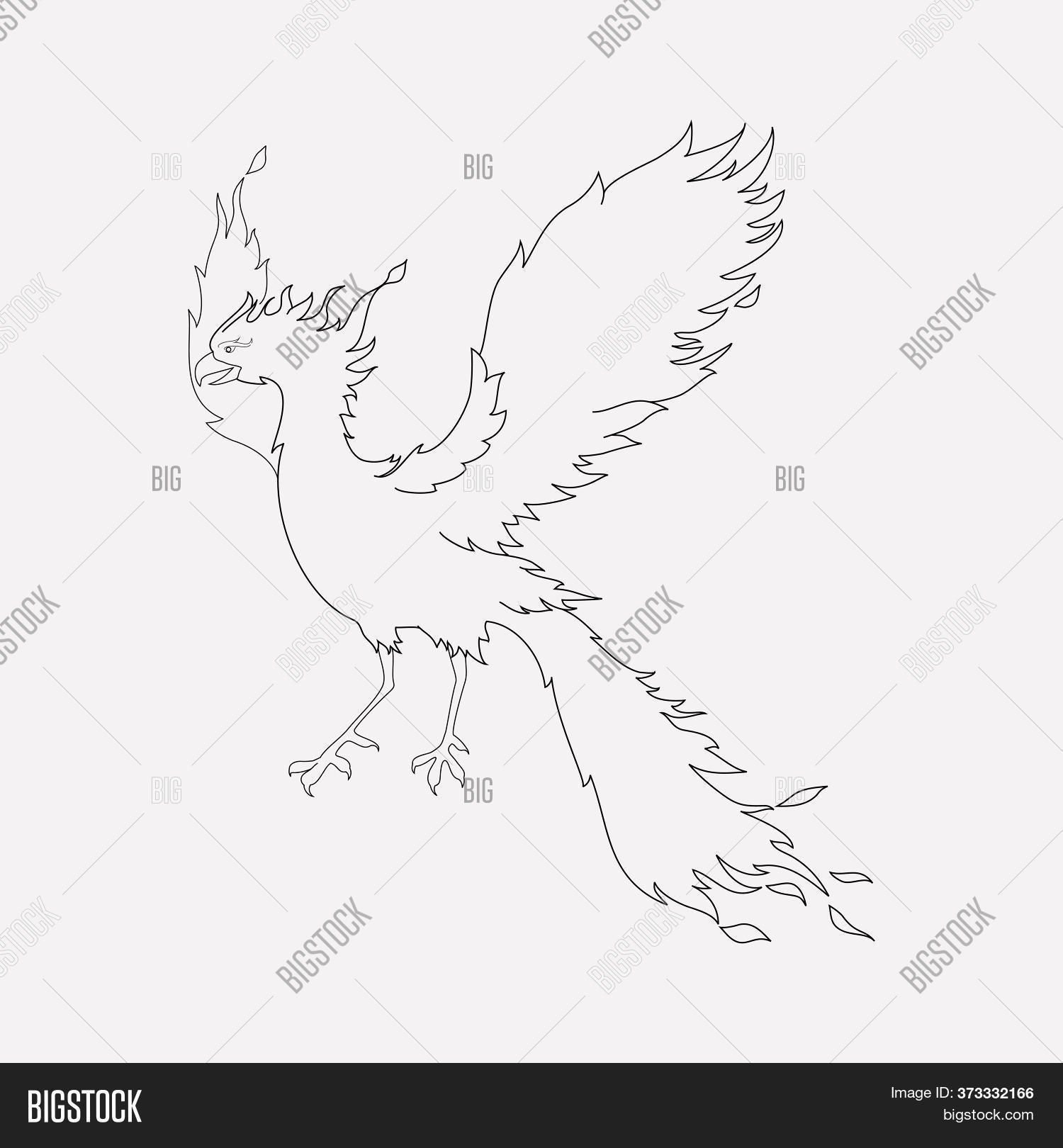 Phoenix Icon Line Image & Photo (Free Trial) | Bigstock