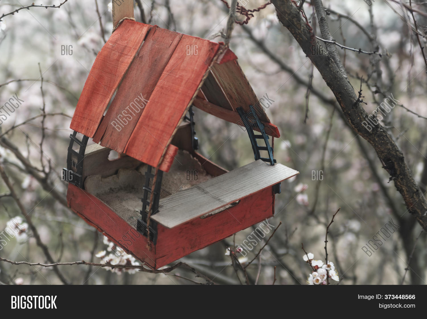 Bird Feeder On Tree. Image & Photo (Free Trial) | Bigstock
