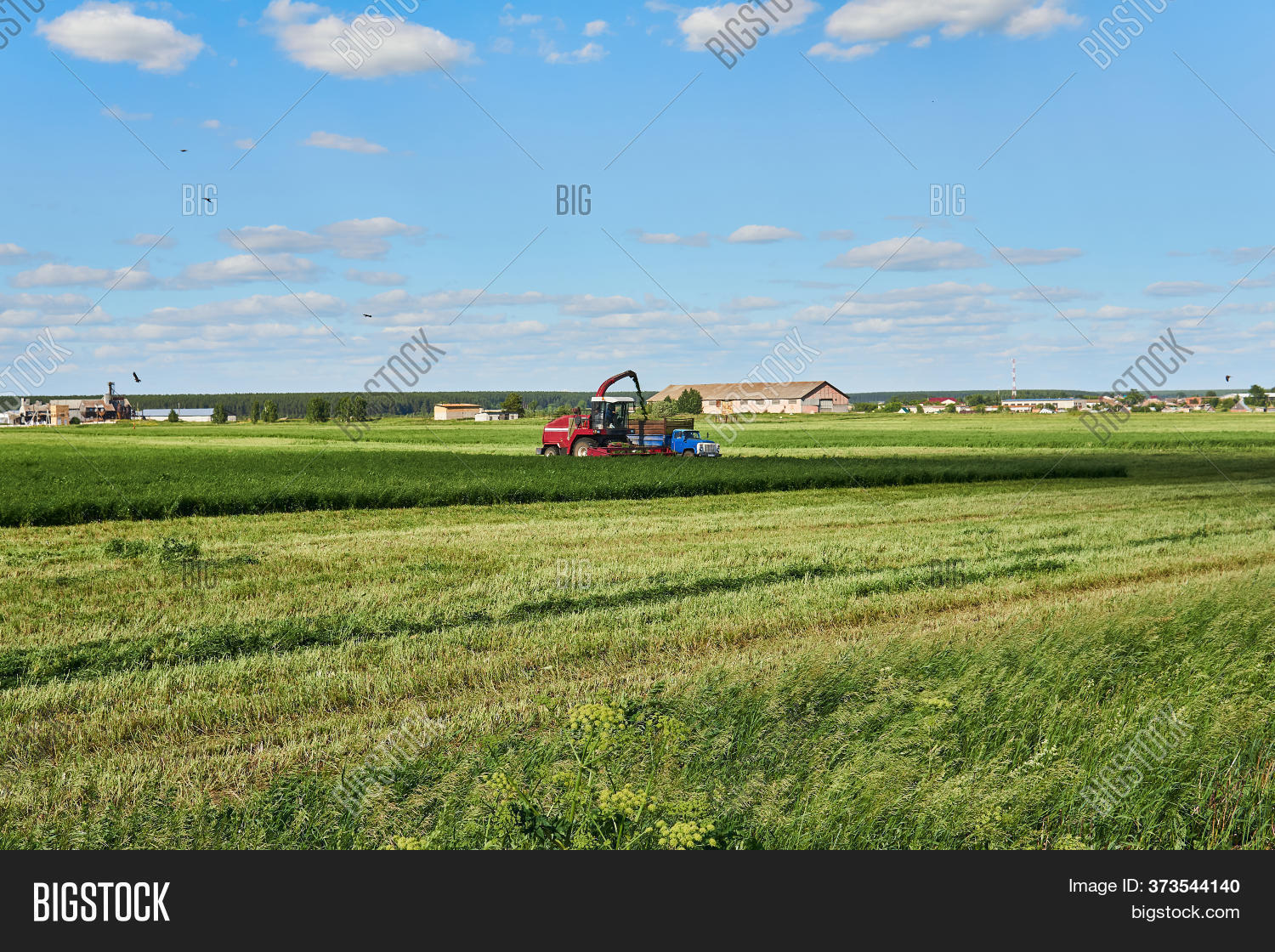 Agricultural Landscape Image & Photo (Free Trial) | Bigstock