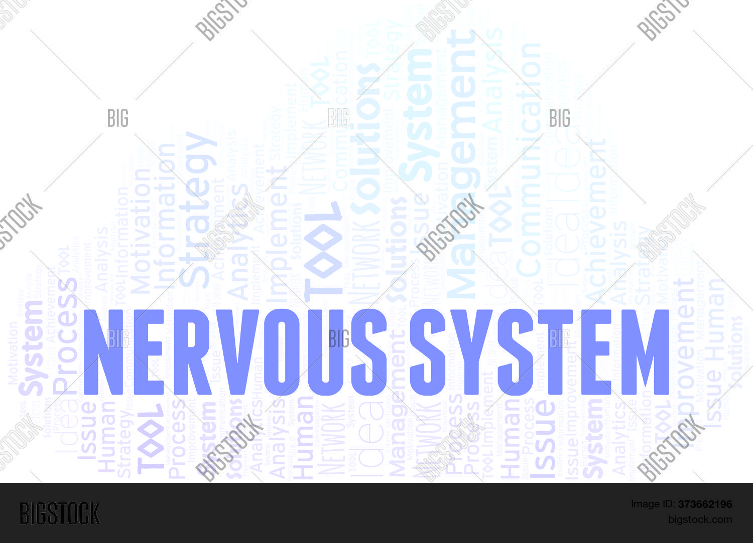 Nervous System Vector & Photo (Free Trial) | Bigstock
