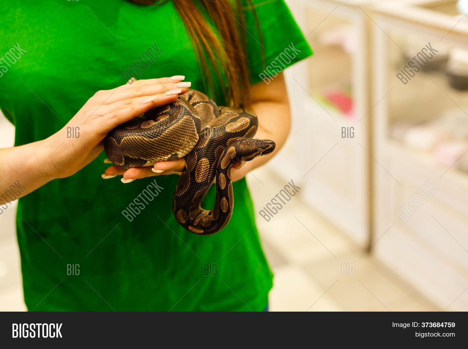 Hand Woman Holding Boa Image & Photo (Free Trial) | Bigstock