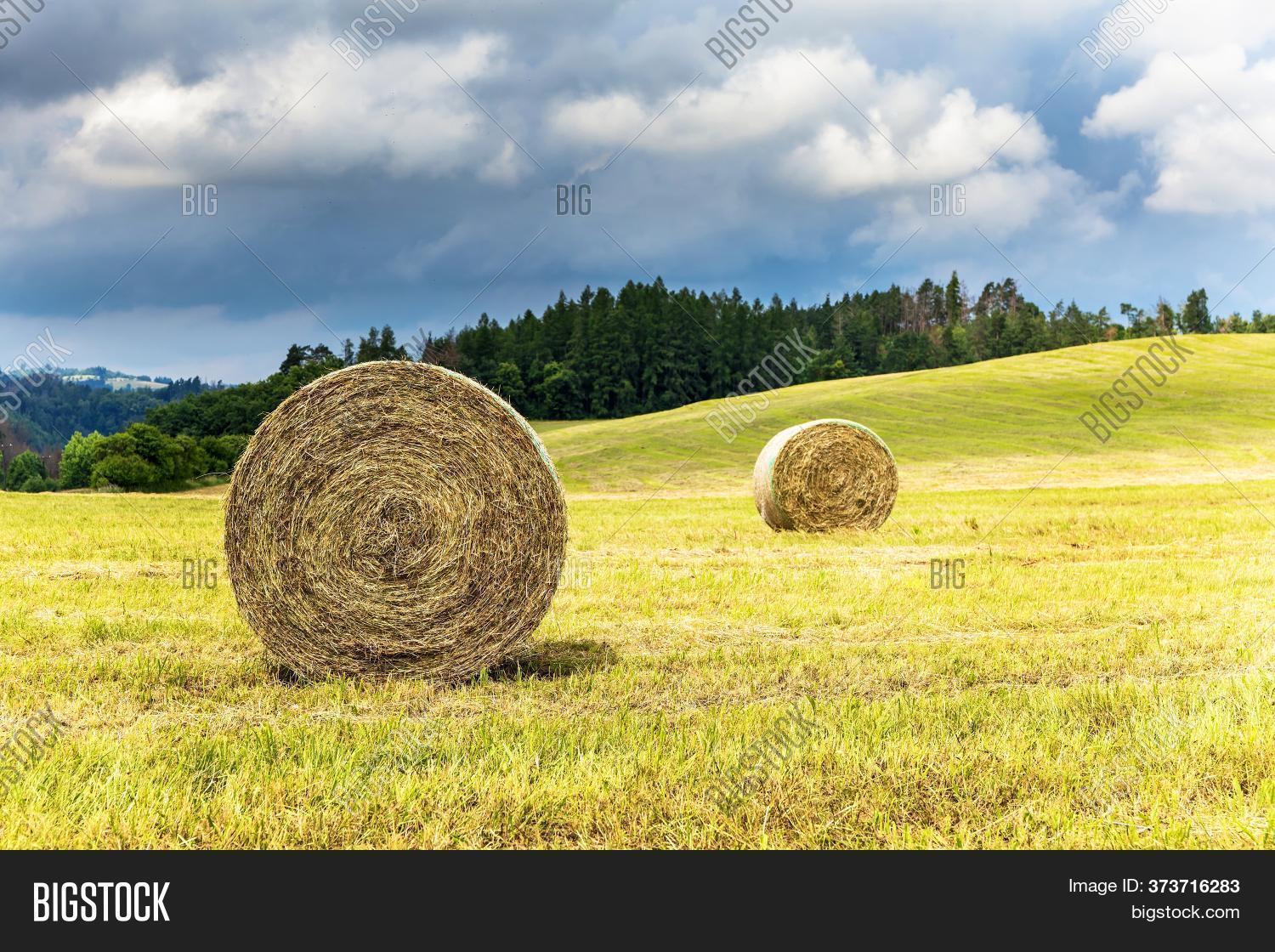 Haystack Agriculture Image & Photo (Free Trial) | Bigstock