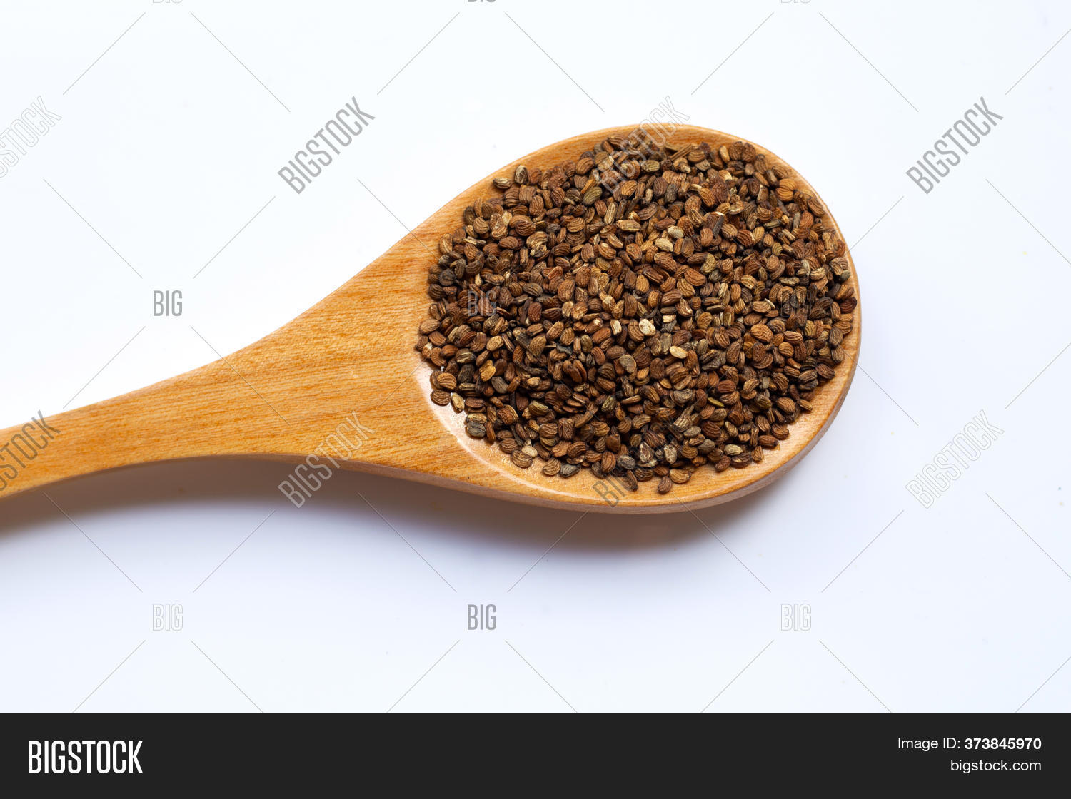 Gotu Kola Seeds On Image & Photo (Free Trial) | Bigstock