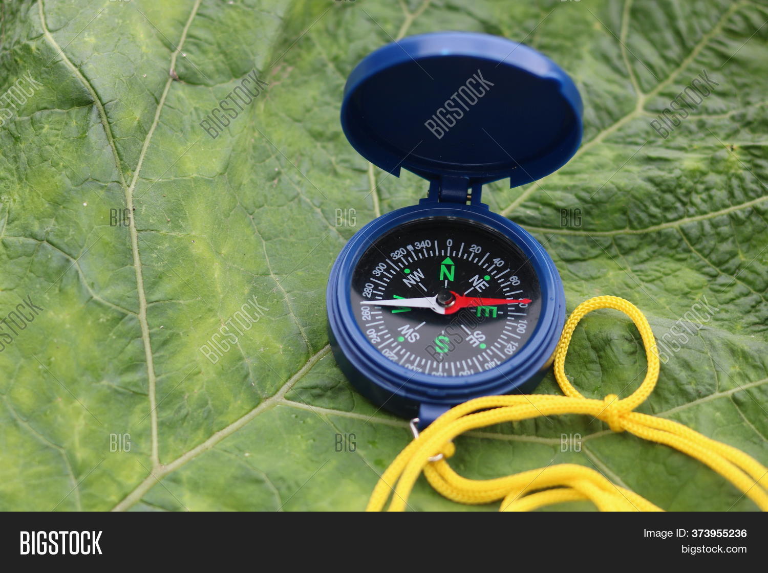 Round Compass On Image & Photo (Free Trial) | Bigstock