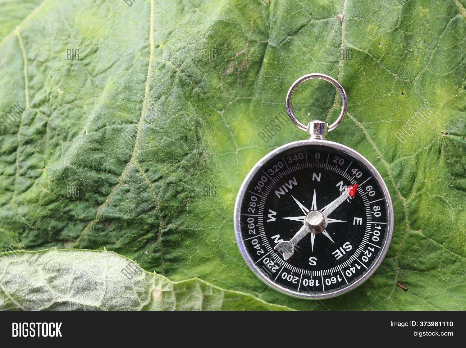 Round Compass On Image & Photo (Free Trial) | Bigstock