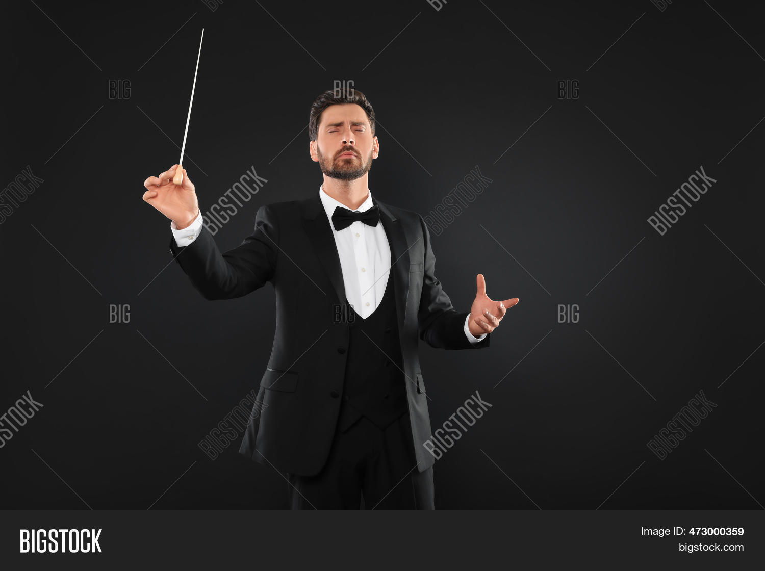 Professional Conductor Image & Photo (Free Trial) | Bigstock