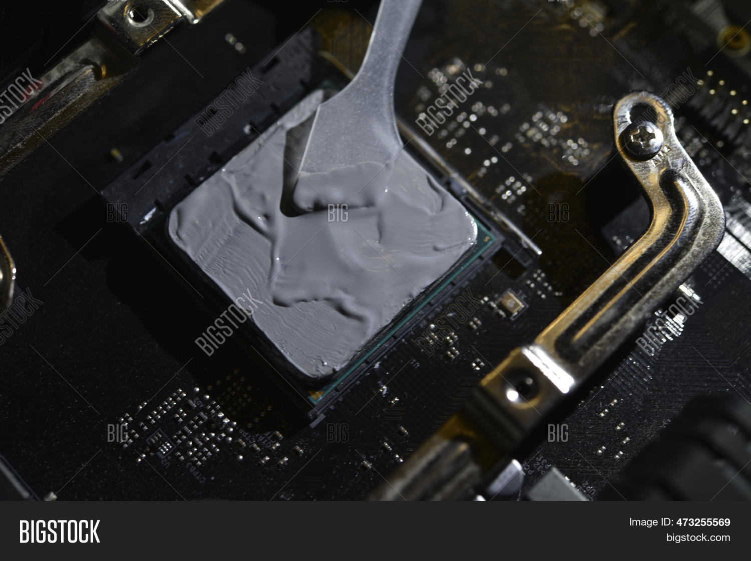 Applying Thermal Paste Image & Photo (Free Trial) | Bigstock