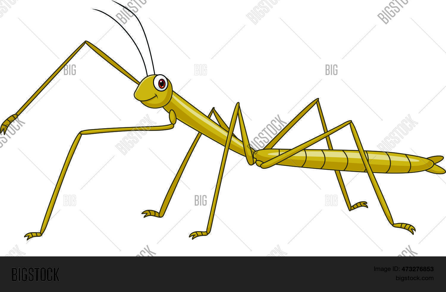 Vector Illustration Vector & Photo (Free Trial) | Bigstock