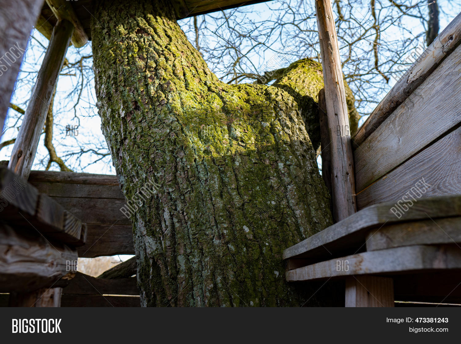 Hunter Building Woods Image & Photo (Free Trial) | Bigstock