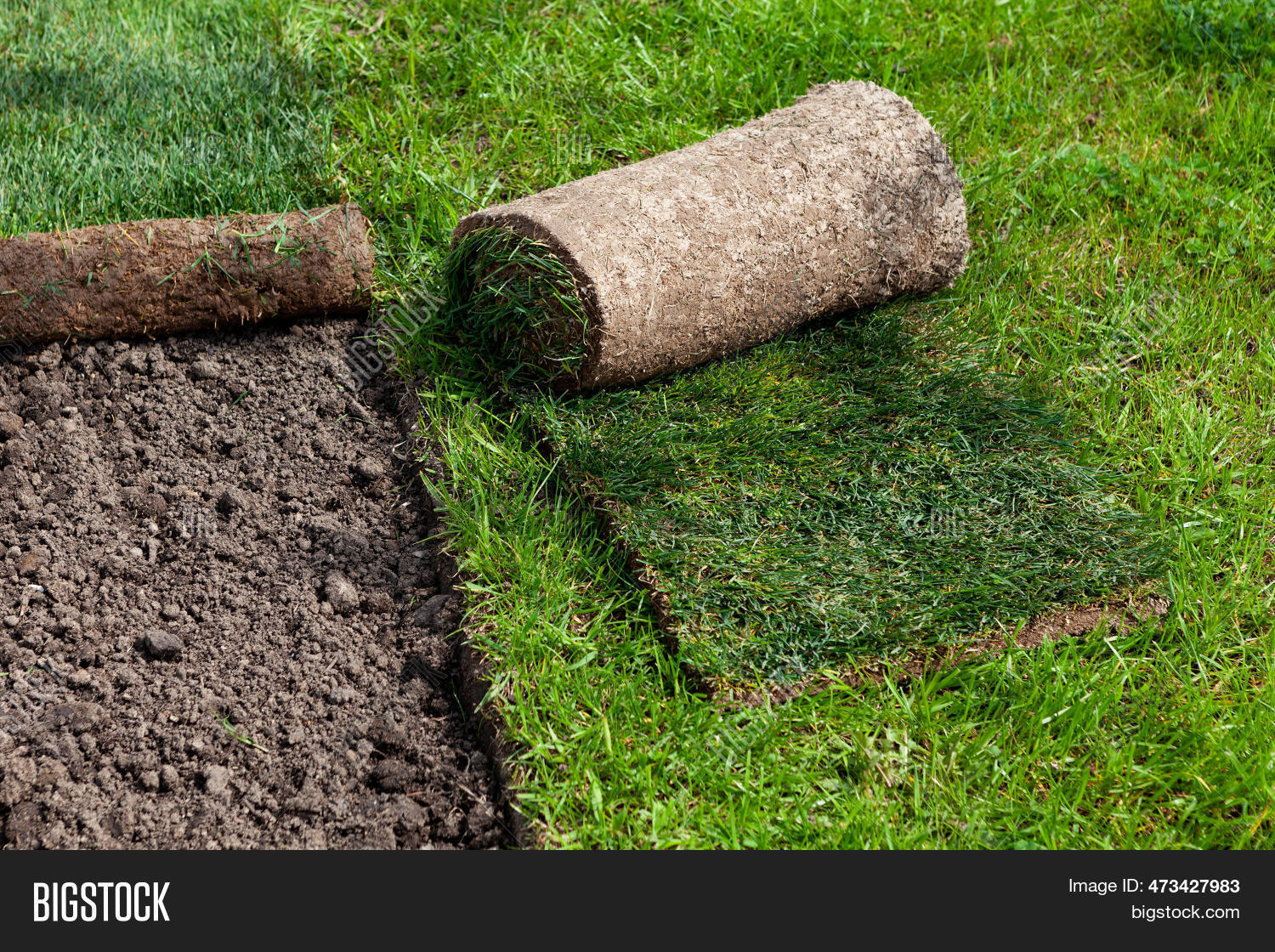 Restoration Lawn Image & Photo (Free Trial) | Bigstock