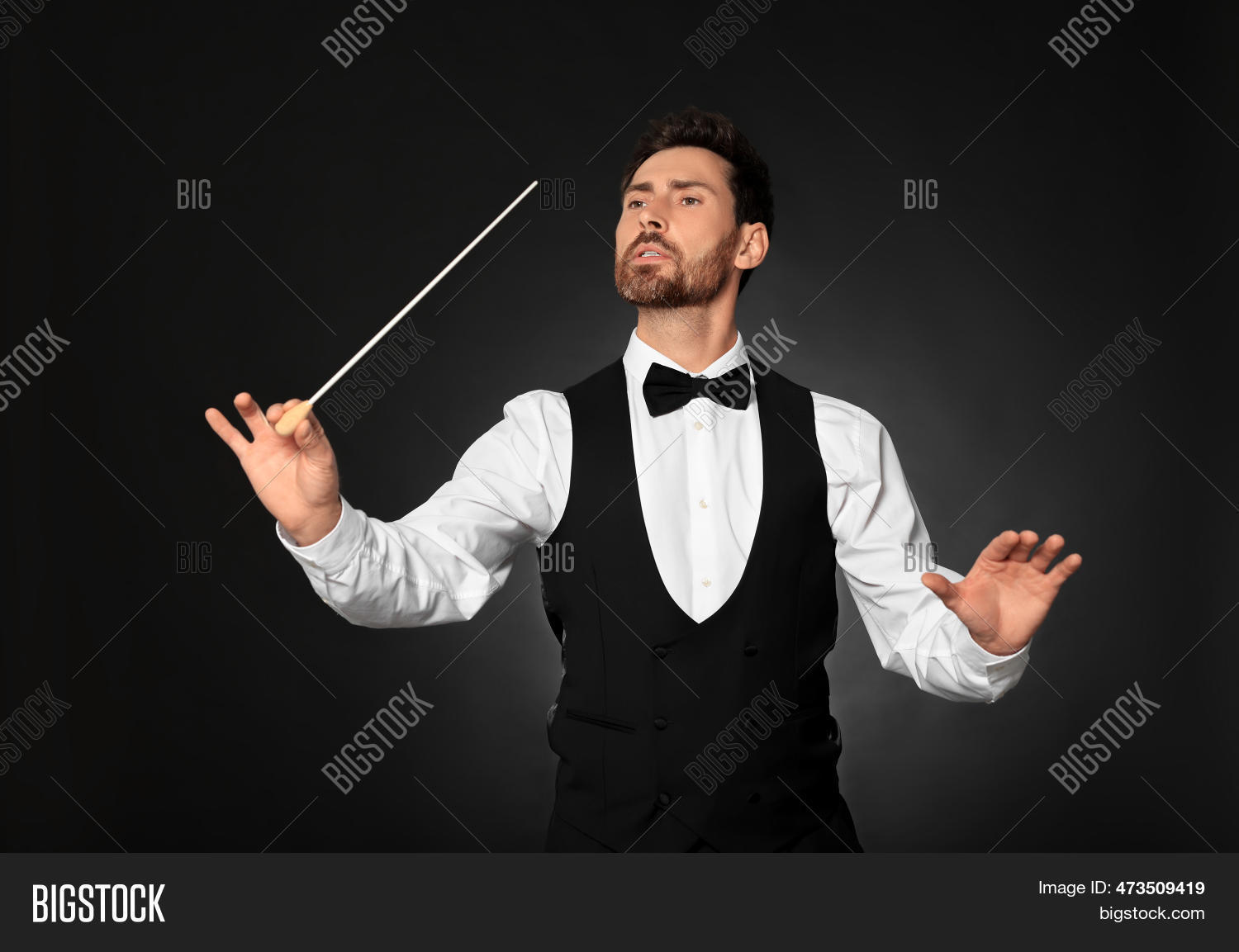 Professional Conductor Image & Photo (Free Trial) | Bigstock
