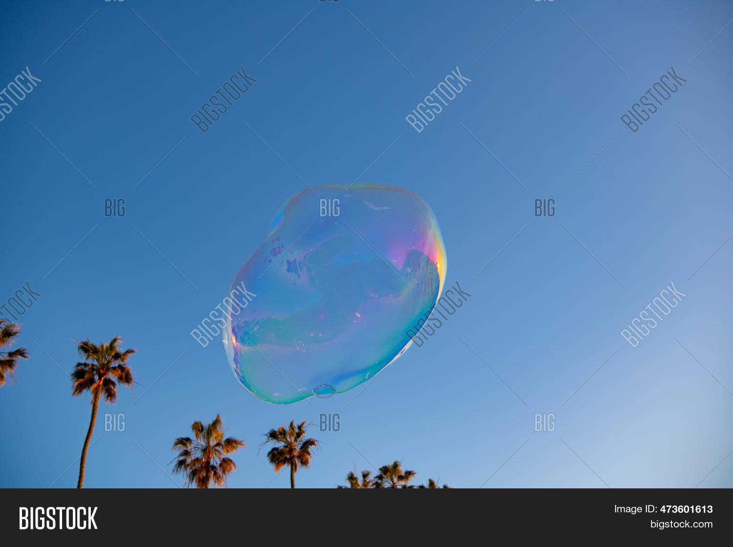 Bubble Sphere Sky Palm Image & Photo (Free Trial) | Bigstock