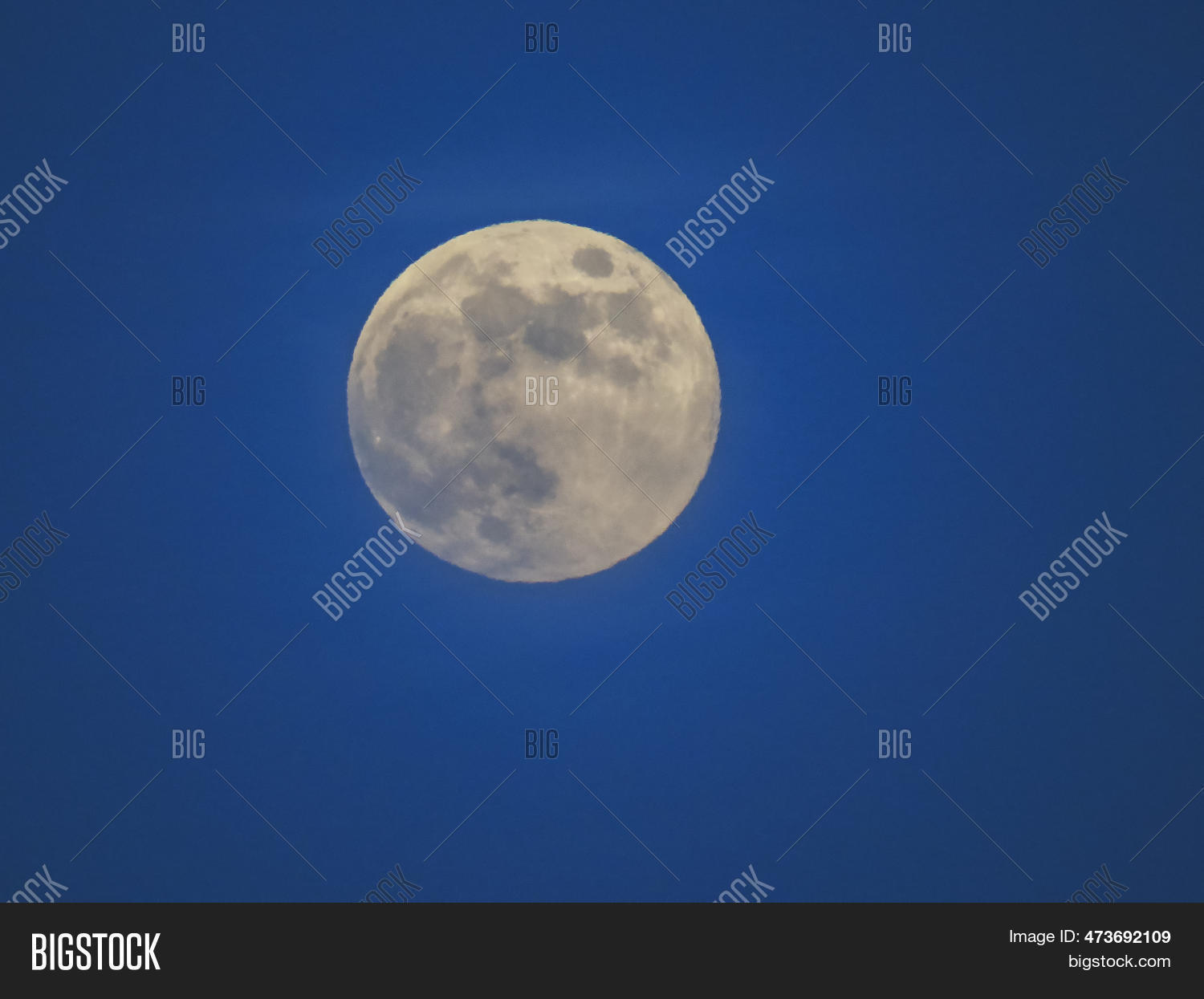 Full Moon Isolated On Image & Photo (Free Trial) | Bigstock