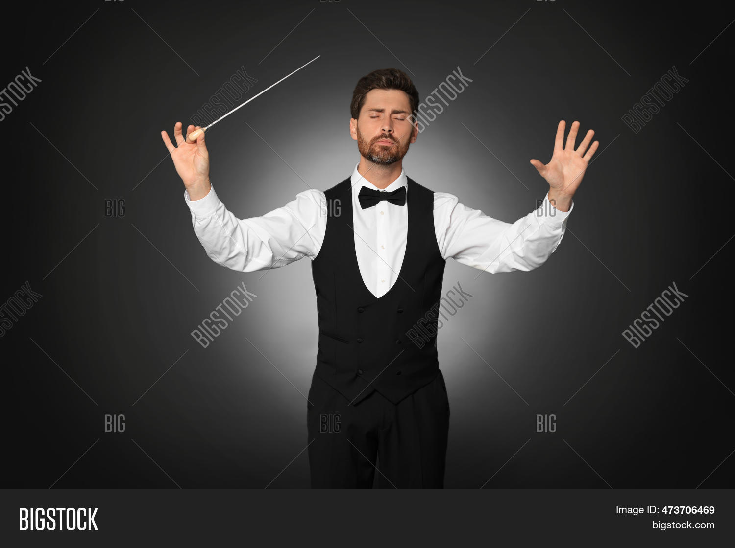 Professional Conductor Image & Photo (Free Trial) | Bigstock