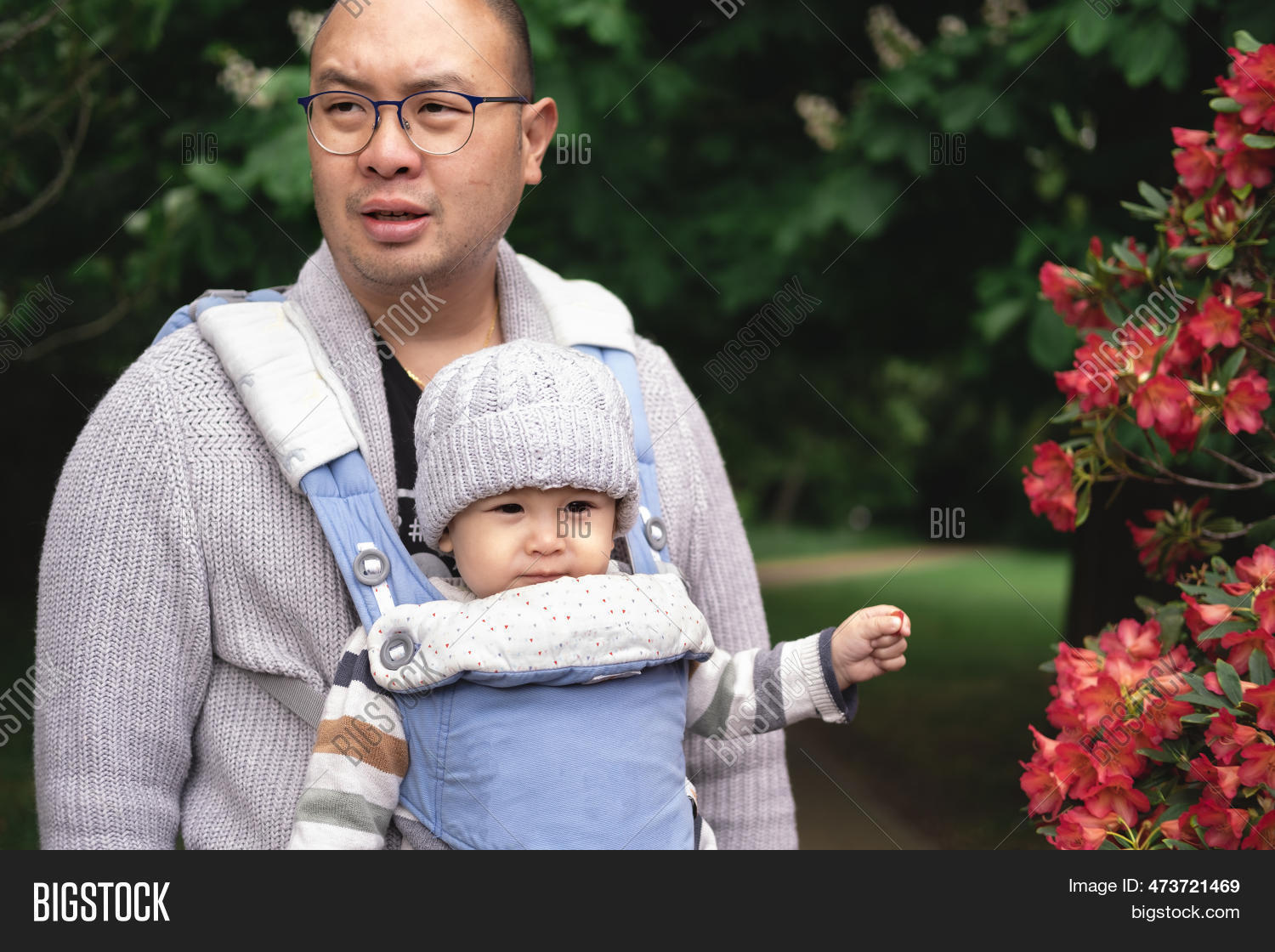 New Parent Carrying Image & Photo (Free Trial) | Bigstock