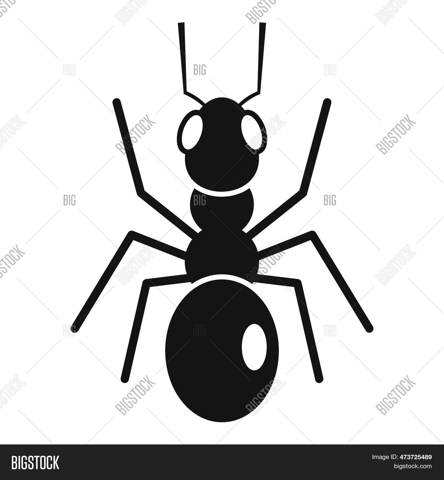 Cute Ant Icon. Simple Image & Photo (Free Trial) | Bigstock
