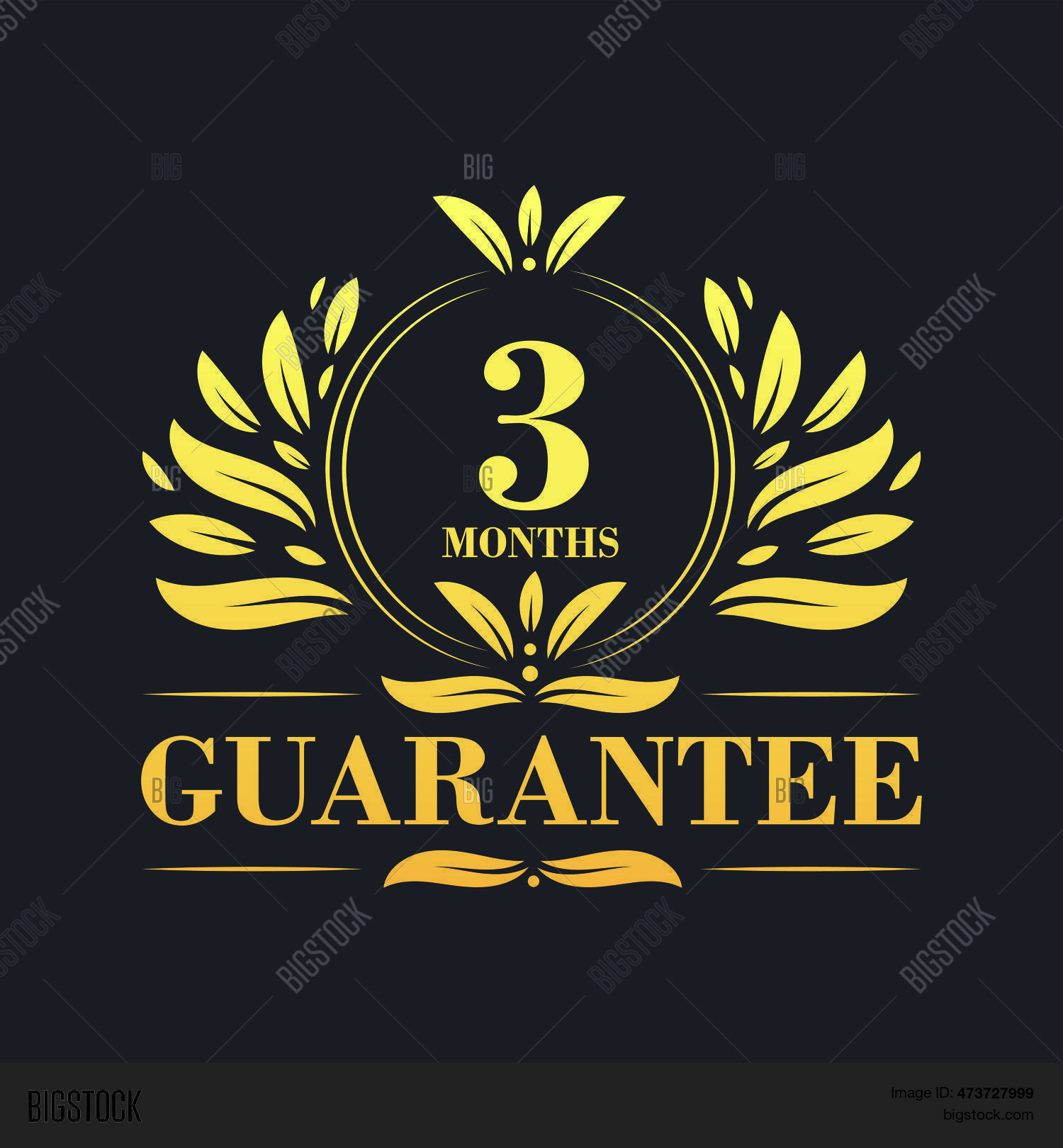 3 Months Guarantee Vector & Photo (Free Trial) | Bigstock