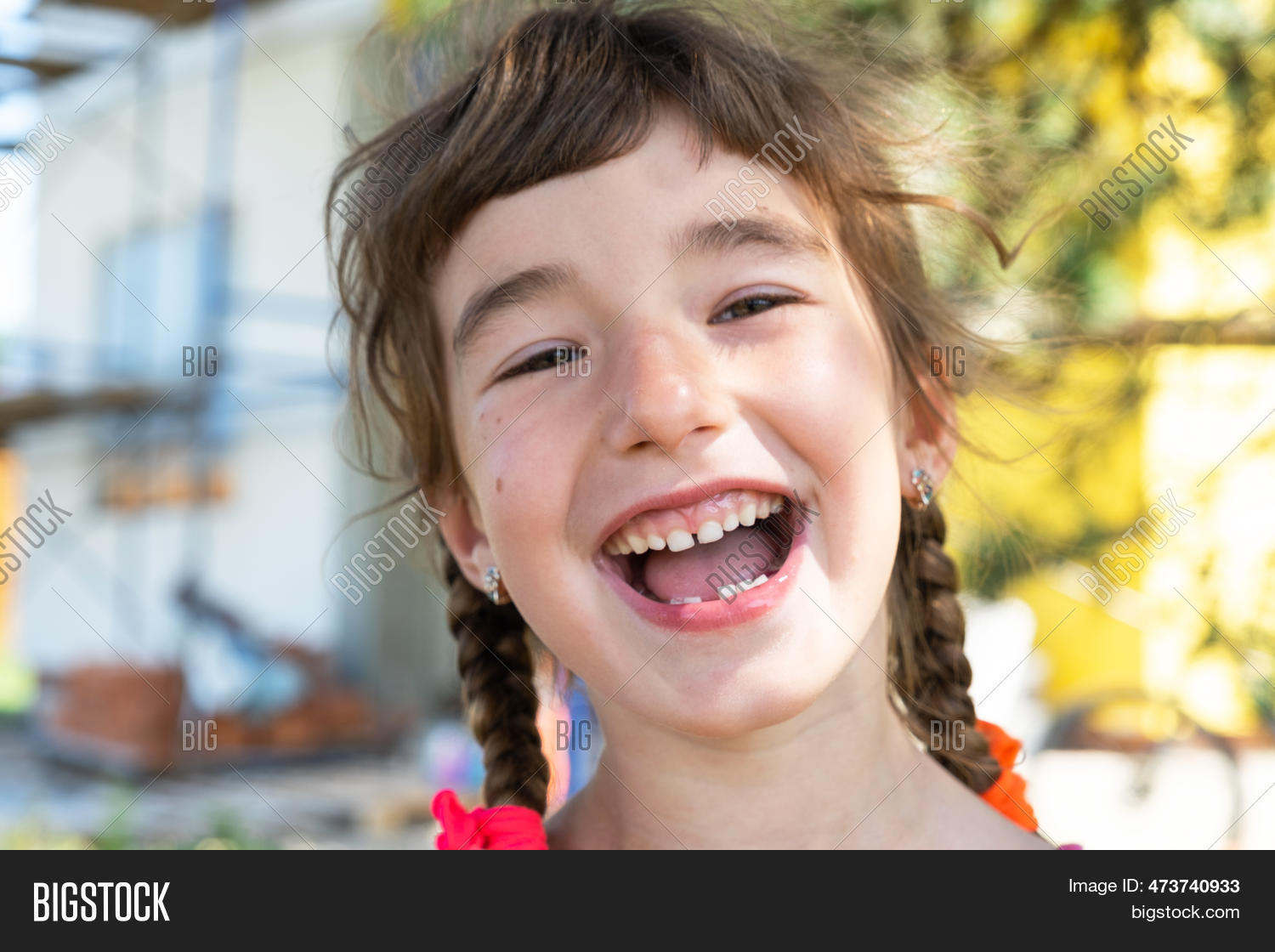 Toothless Happy Smile Image & Photo (Free Trial) | Bigstock