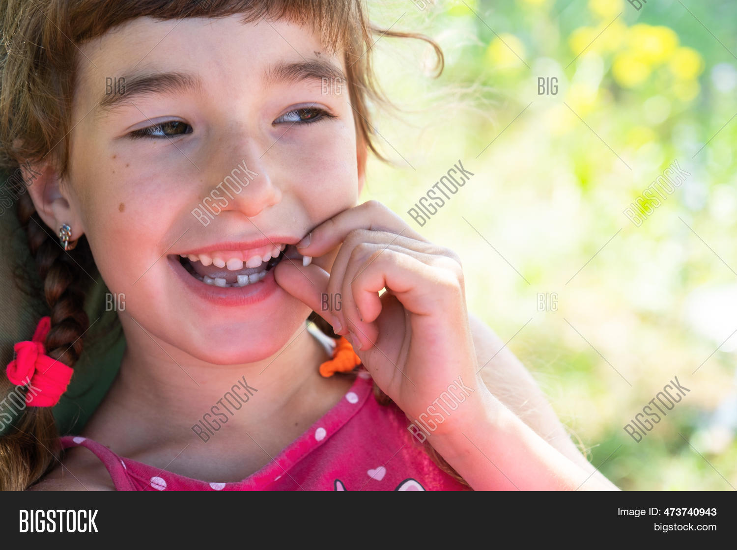 Toothless Happy Smile Image & Photo (Free Trial) | Bigstock