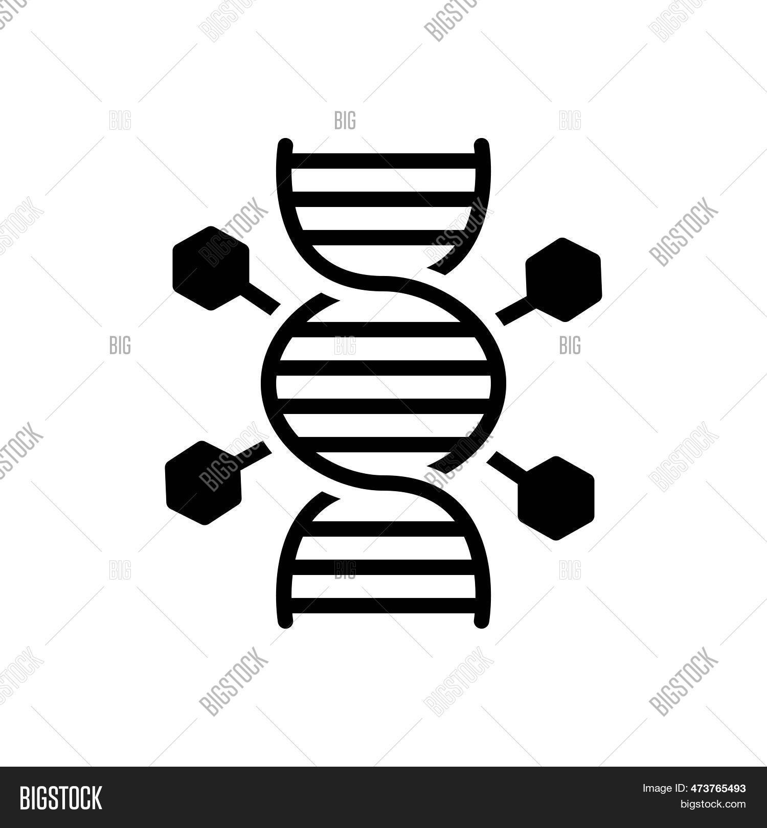 Black Solid Icon Genes Image & Photo (Free Trial) | Bigstock
