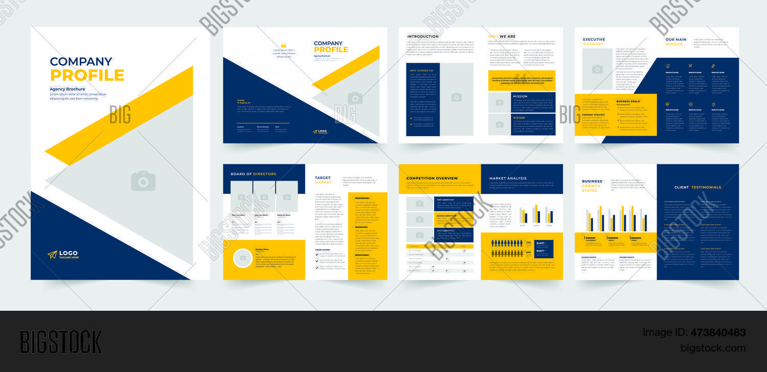 Company Profile Vector & Photo (Free Trial) | Bigstock