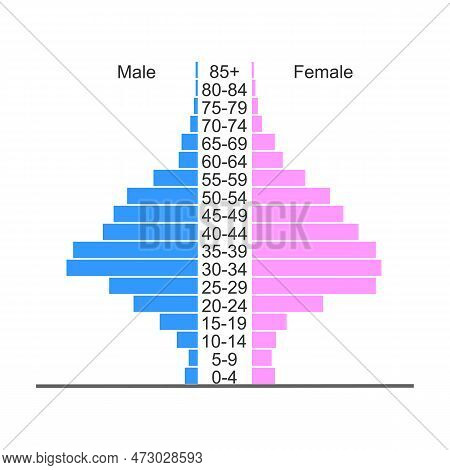 Population Pyramid. Vector & Photo (Free Trial) | Bigstock