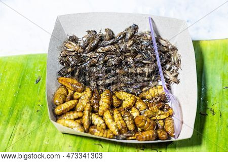 Deep Fried Silk Worm Image & Photo (Free Trial) | Bigstock