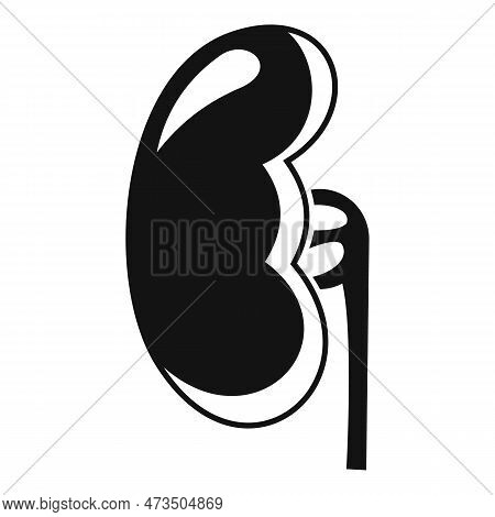 Anatomy Kidney Icon. Image & Photo (Free Trial) | Bigstock
