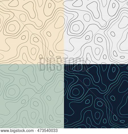 Topography Patterns. Vector & Photo (Free Trial) | Bigstock