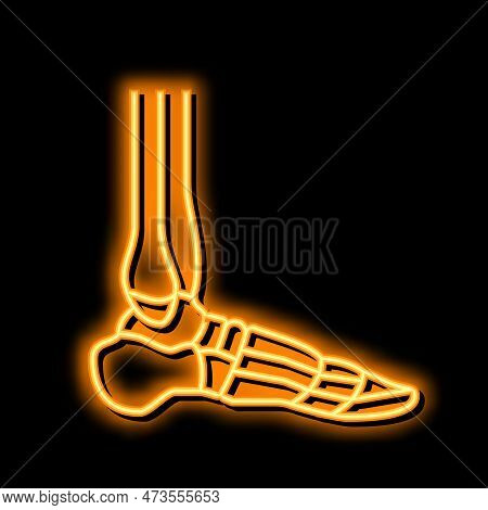 Ankle Bone Neon Light Vector & Photo (Free Trial) | Bigstock
