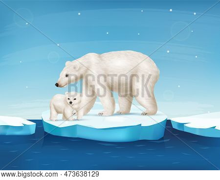 Cute Polar Bear On Ice Clipart