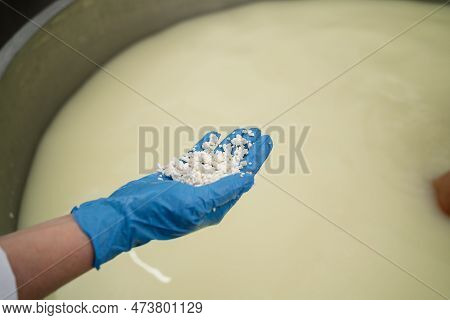 Cheese Production Image & Photo (Free Trial) | Bigstock