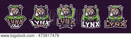 Set Sports Logos Lynx Vector & Photo (Free Trial) | Bigstock