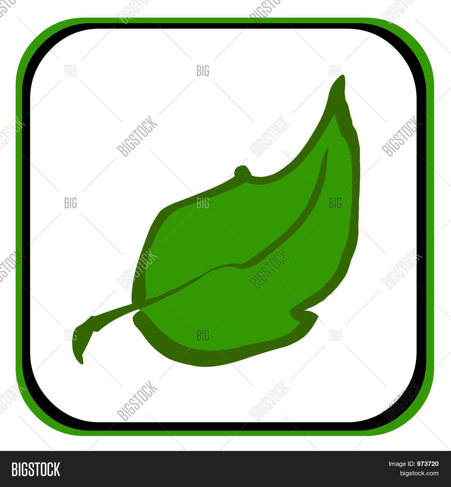 Stylized Leaf Image & Photo (Free Trial) | Bigstock
