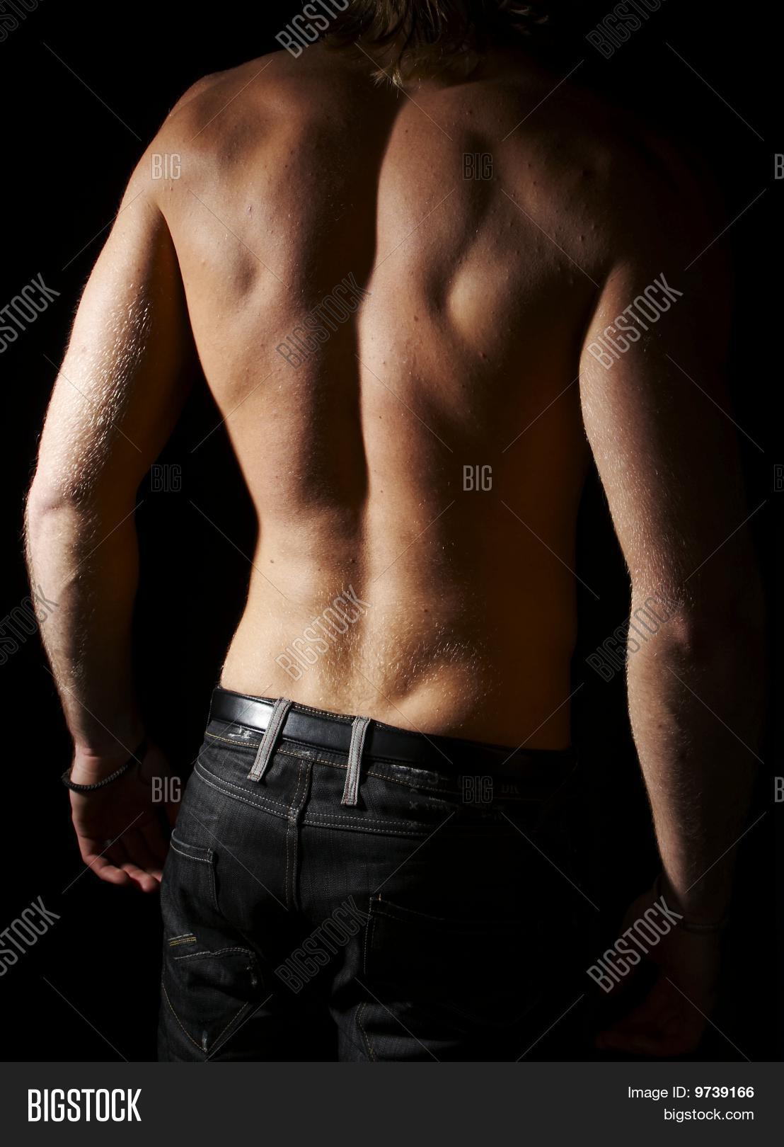 Back, Muscles, Fitness, Gym, Image & Photo | Bigstock