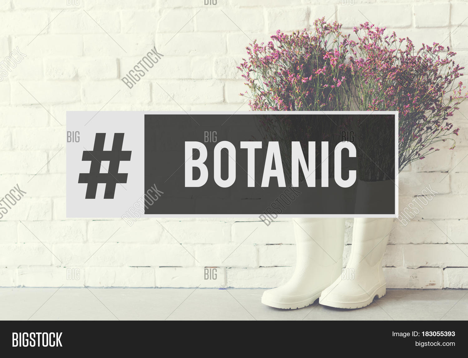 Botanic Flower Bloom Image & Photo (Free Trial) | Bigstock