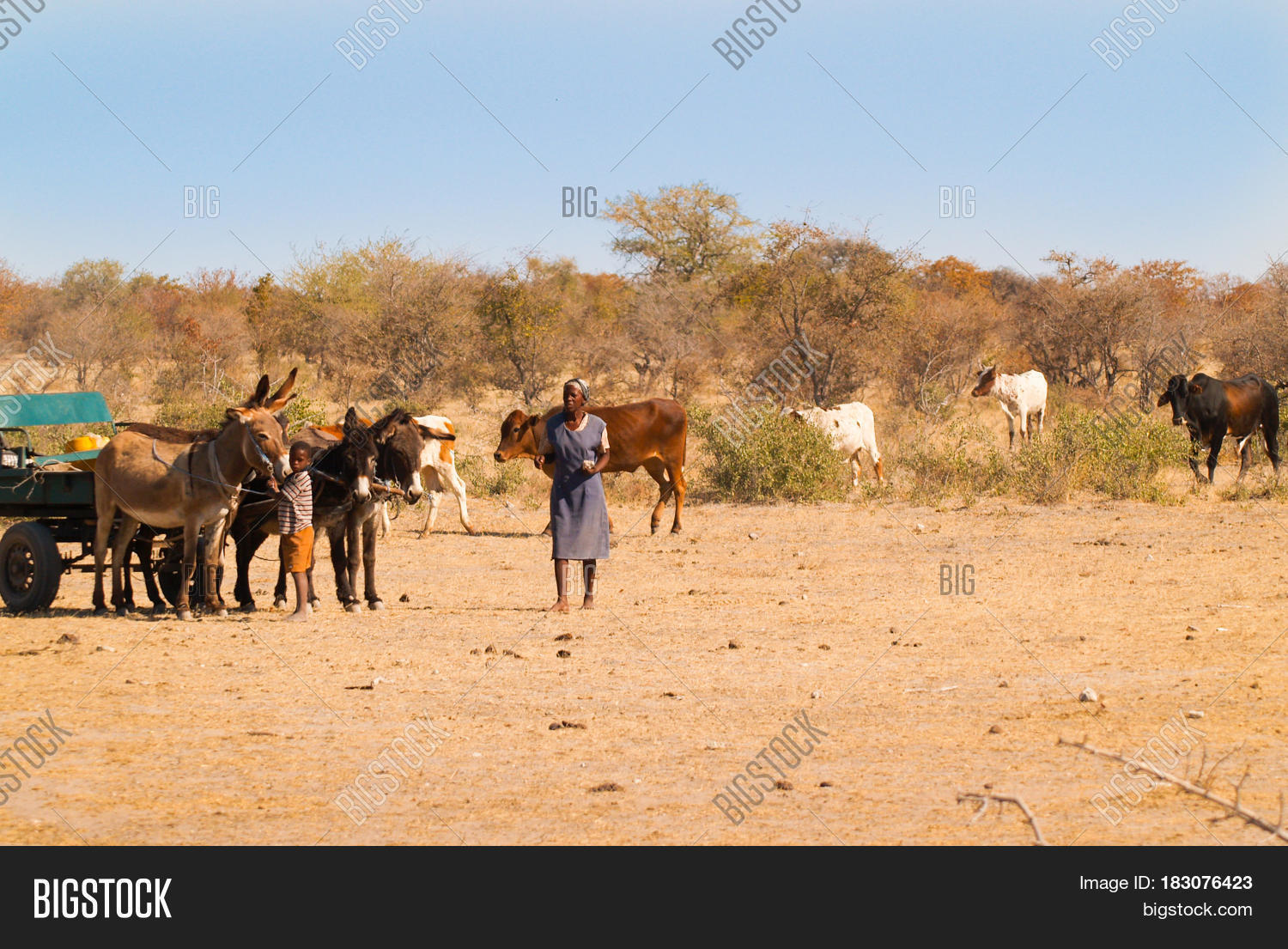 Maun, Botswana - Image & Photo (Free Trial) | Bigstock