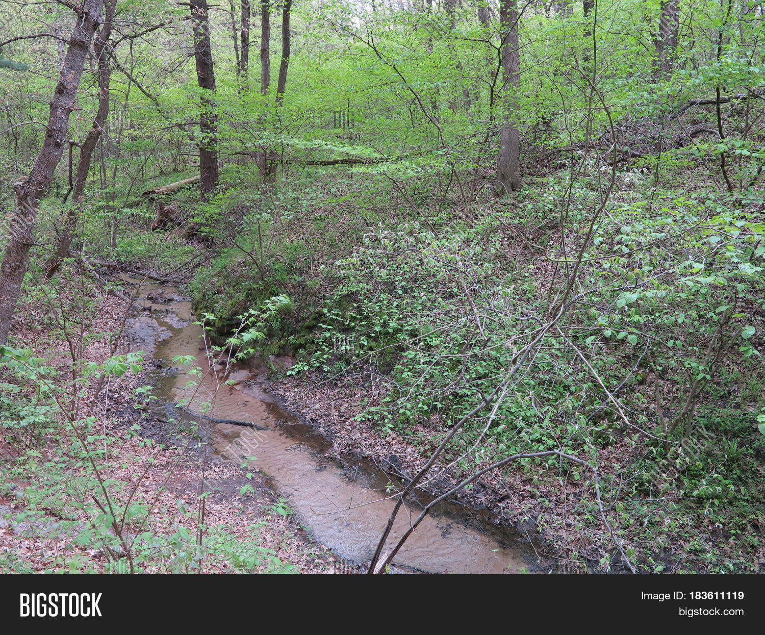 Springs Groundwater Image & Photo (Free Trial) | Bigstock