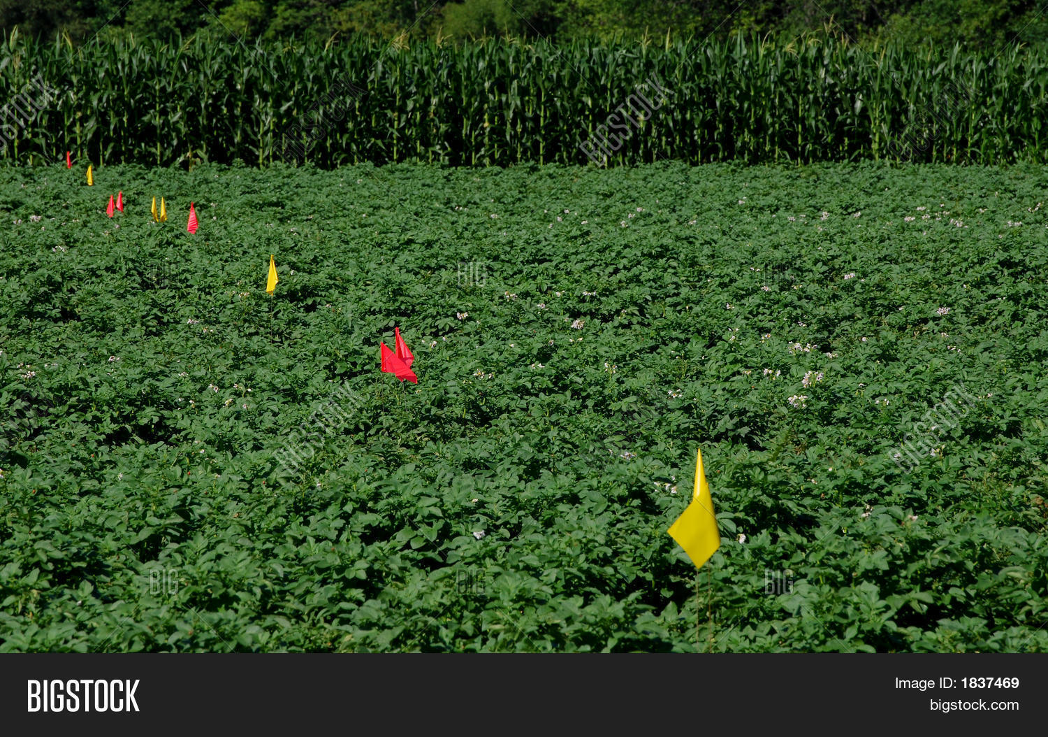 Farm Fields Marker Image & Photo (Free Trial) | Bigstock
