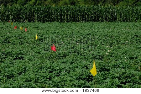 Farm Fields Marker Image & Photo (Free Trial) | Bigstock