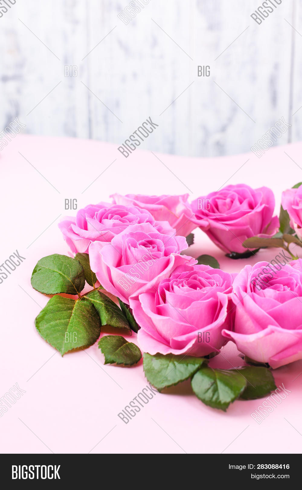 Pink Roses On Gentle Image & Photo (Free Trial) | Bigstock
