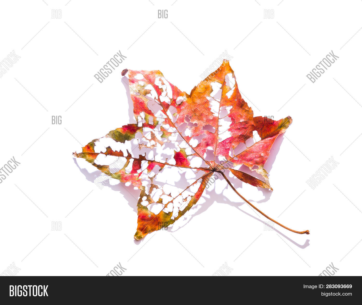 Old Decaying Red Image & Photo (Free Trial) | Bigstock