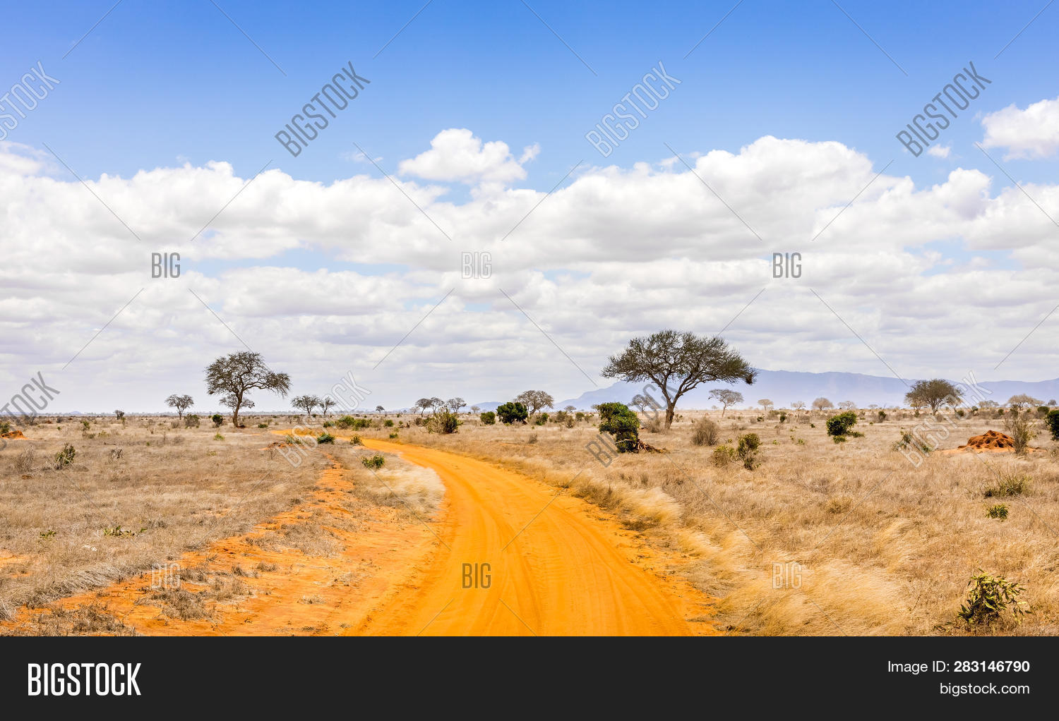 Amazing Savannah Image & Photo (Free Trial) | Bigstock