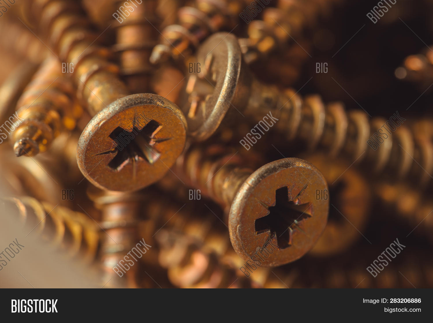 Macro Photo Screws. Image & Photo (Free Trial) | Bigstock