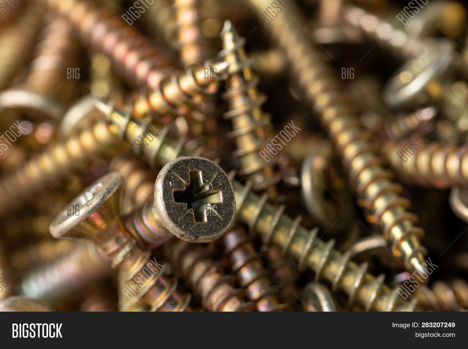 Macro Photo Screws. Image & Photo (Free Trial) | Bigstock