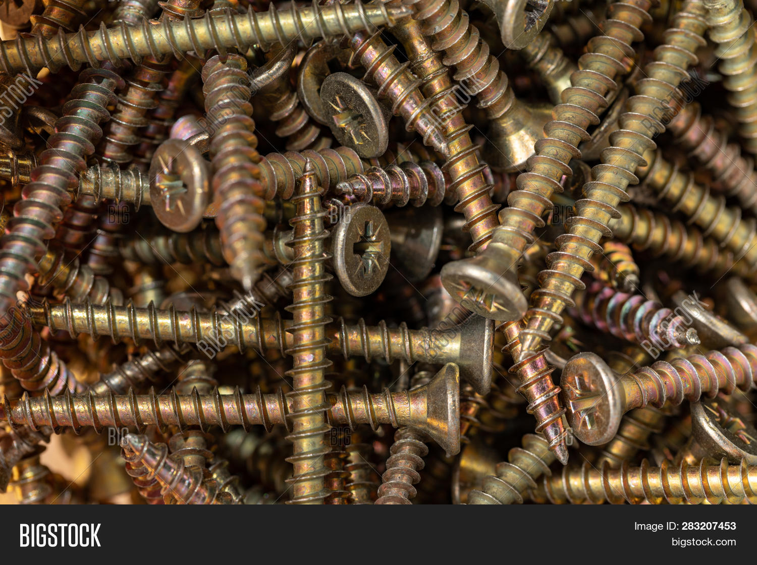 Macro Photo Screws. Image & Photo (Free Trial) | Bigstock