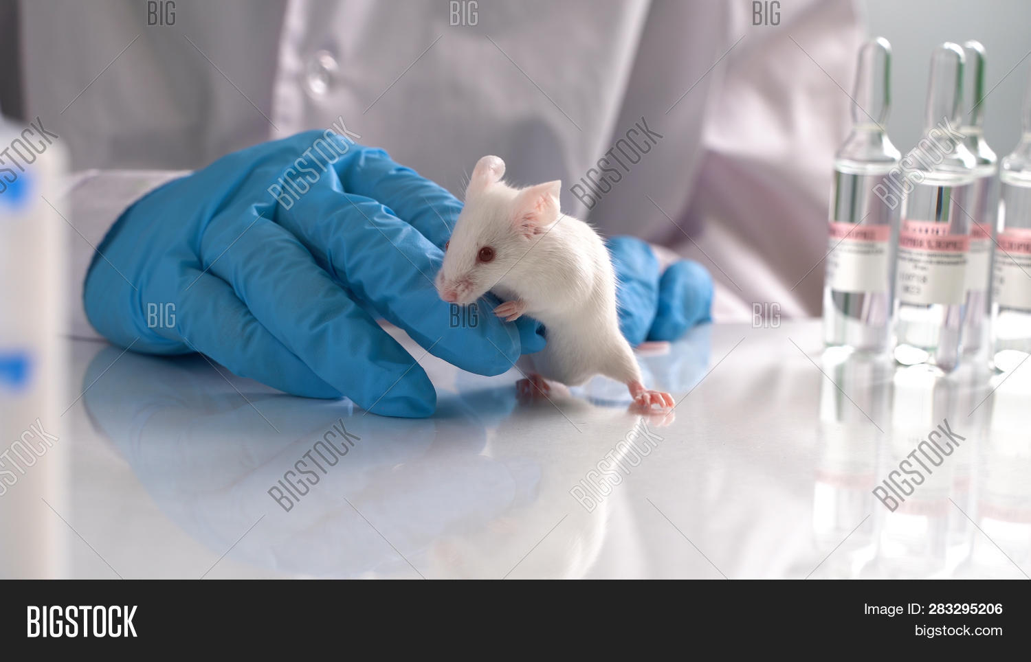 Close- Laboratory Image & Photo (Free Trial) | Bigstock