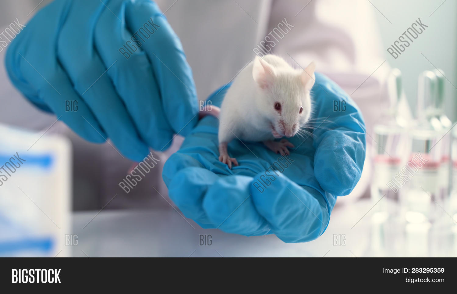 Small Experimental Image & Photo (Free Trial) | Bigstock